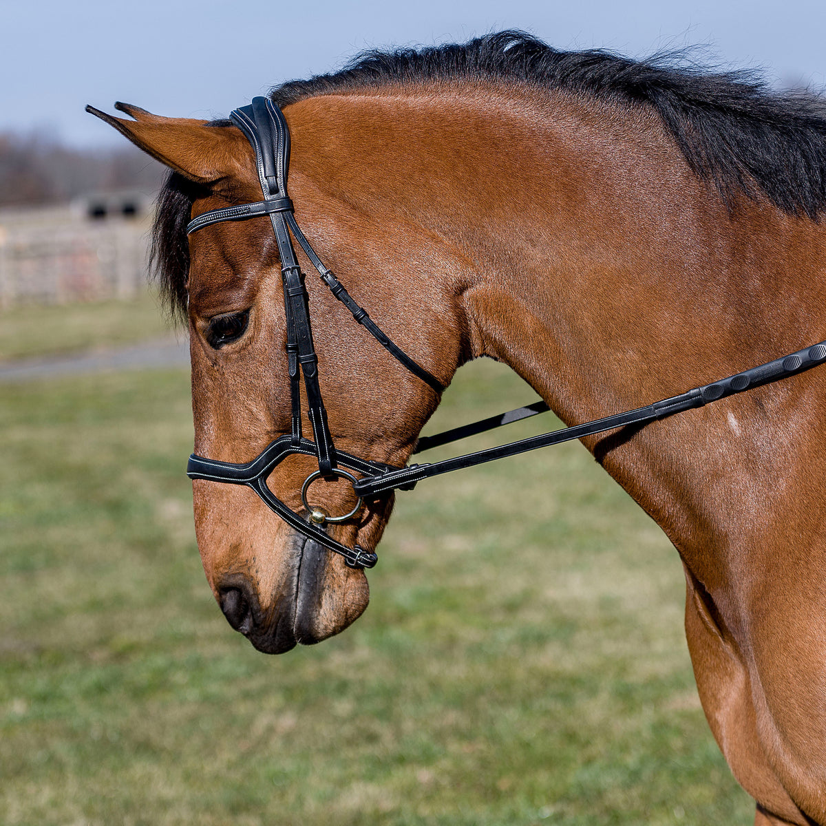 Account – IRH Equestrian Dealers